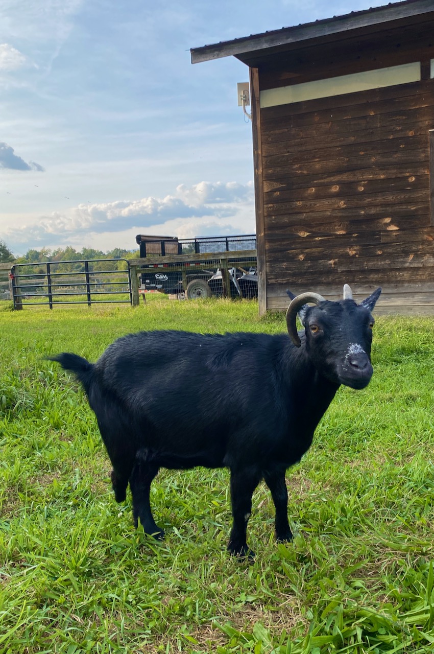 Q3 2023 Highlights for Animals & People - Gregory J. Reiter Memorial Fund